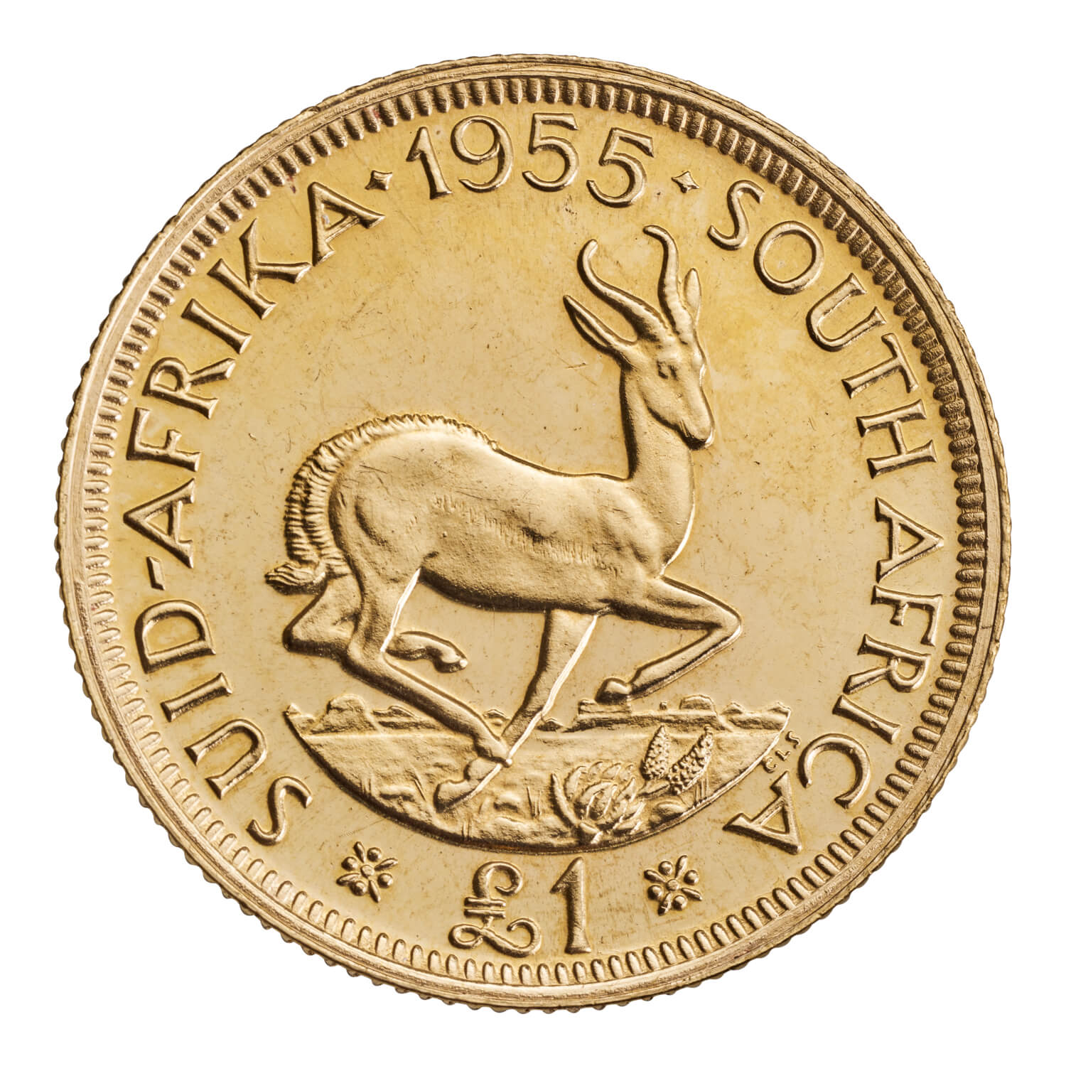 1955 Queen Elizabeth II SA Pound | The Royal Mint