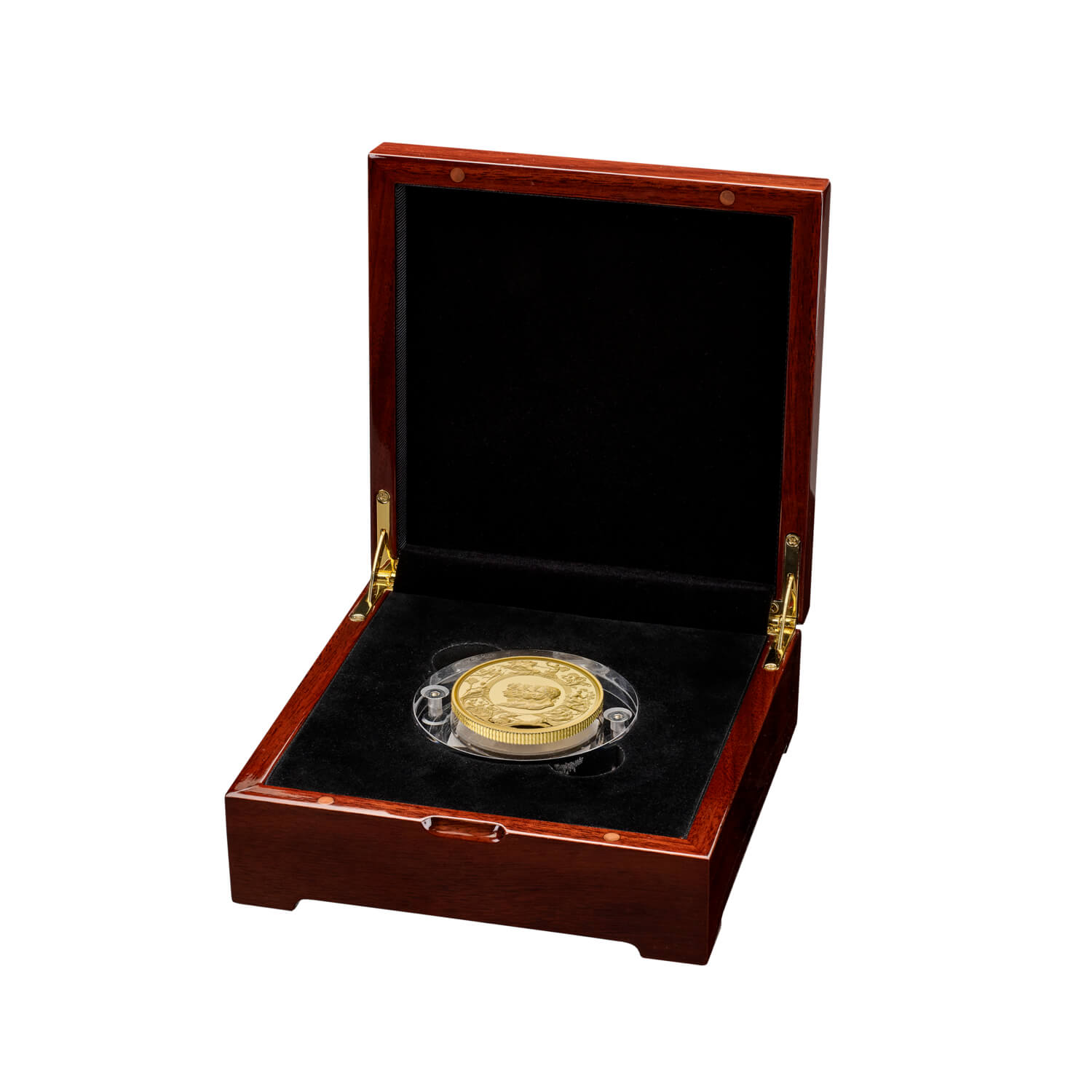 The Waterloo Medal Allied Leaders 2024 UK 5oz Gold Proof Coin | The ...