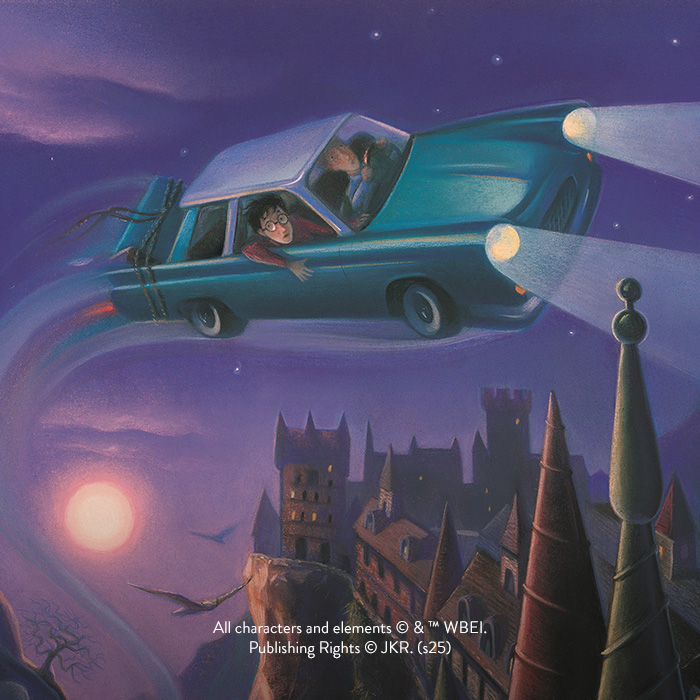 Harry Potter And The Chamber Of Secrets Flying Car Warner Bros. Report