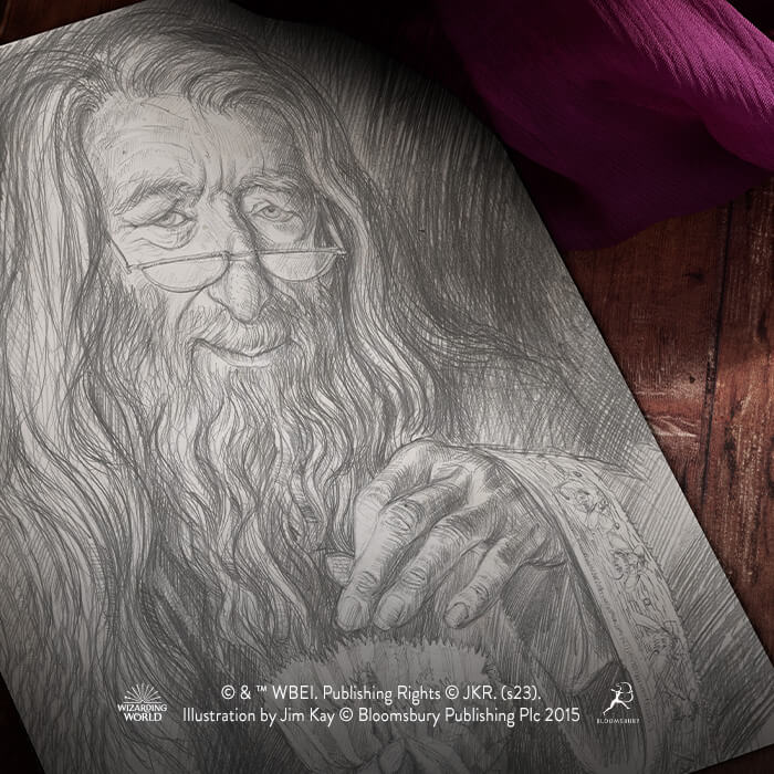 Gandalf Painting In Dumbledores Office