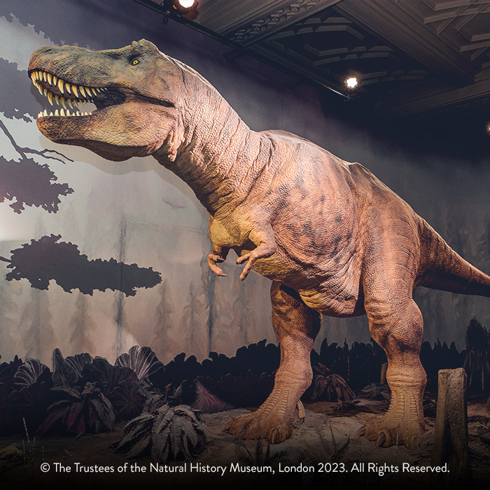 Tyrannosaurus | The Royal Mint