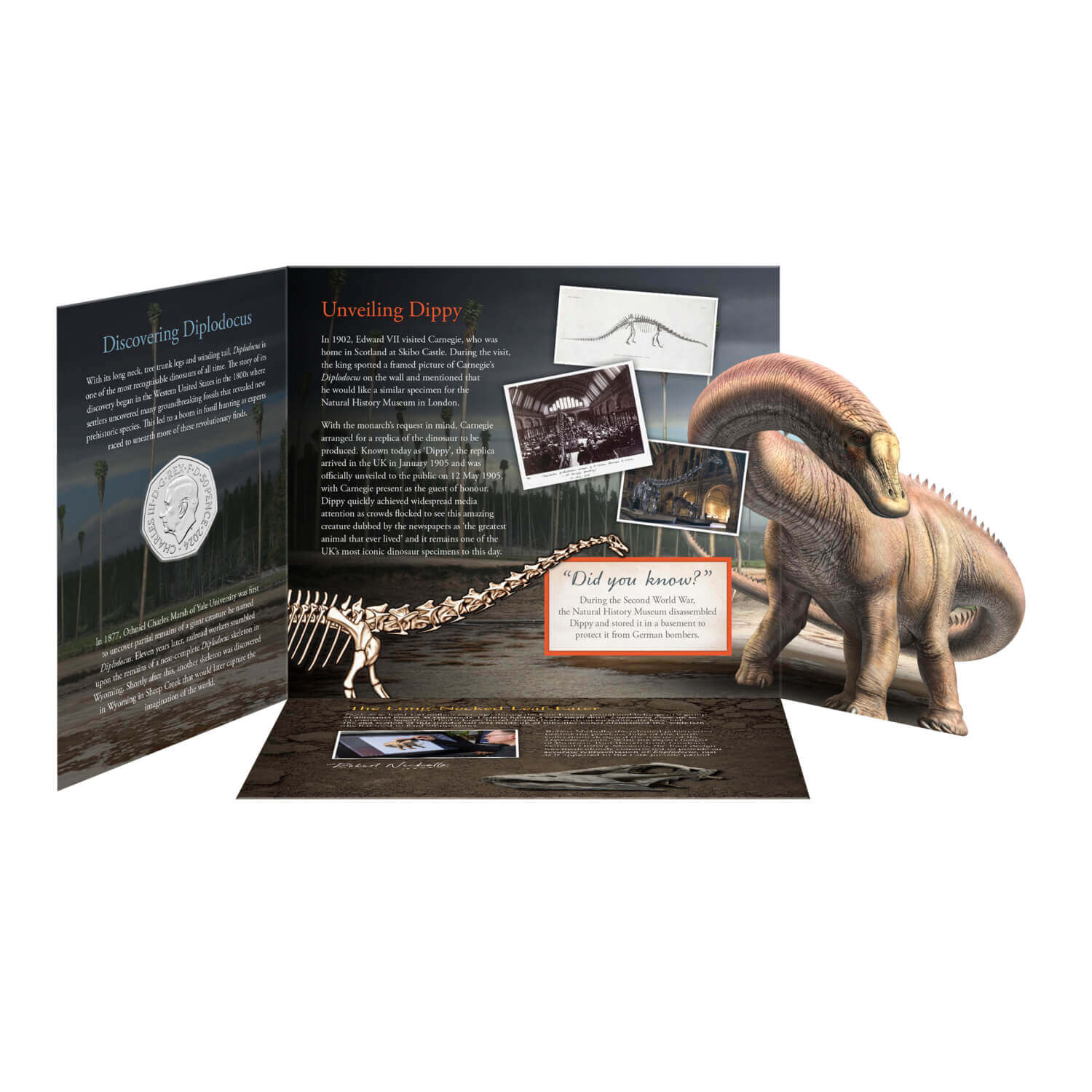 Diplodocus Diplodocus Wikiwand